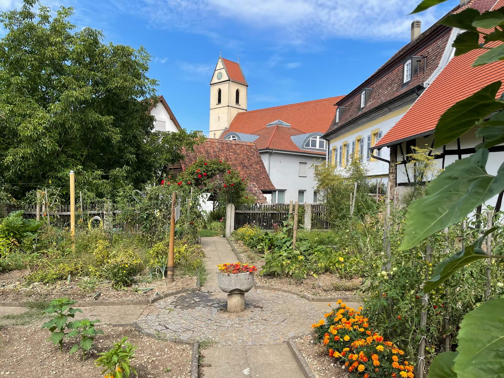 Grüne Wendlingen | Ortsverband Wendlingen/Köngen (GRÜNE)